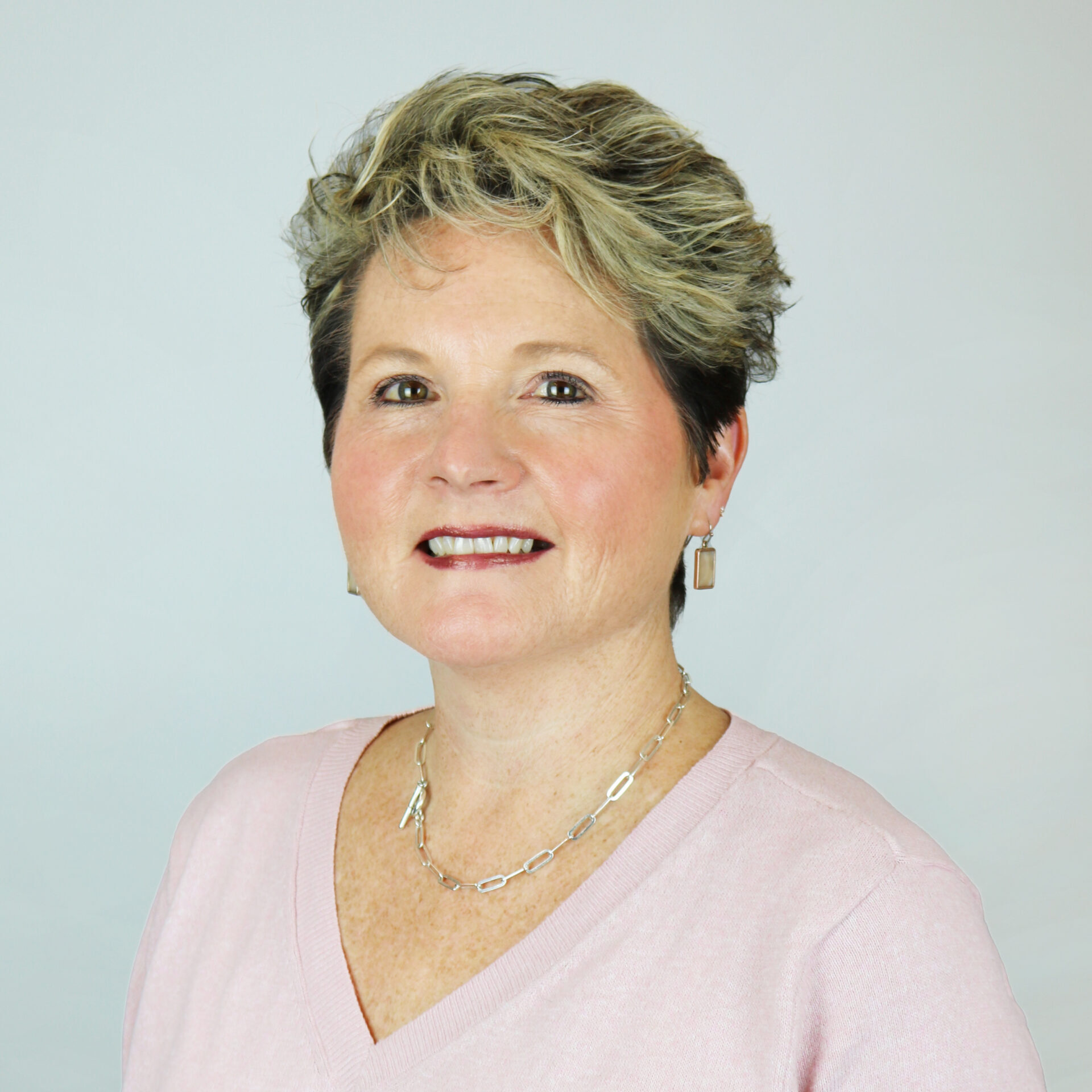 Dyan Darga - Healthmark, A Getinge company